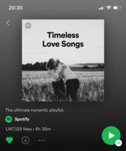 Top 20 Spotify Playlists for Reading and Writing - Cozy Critiques